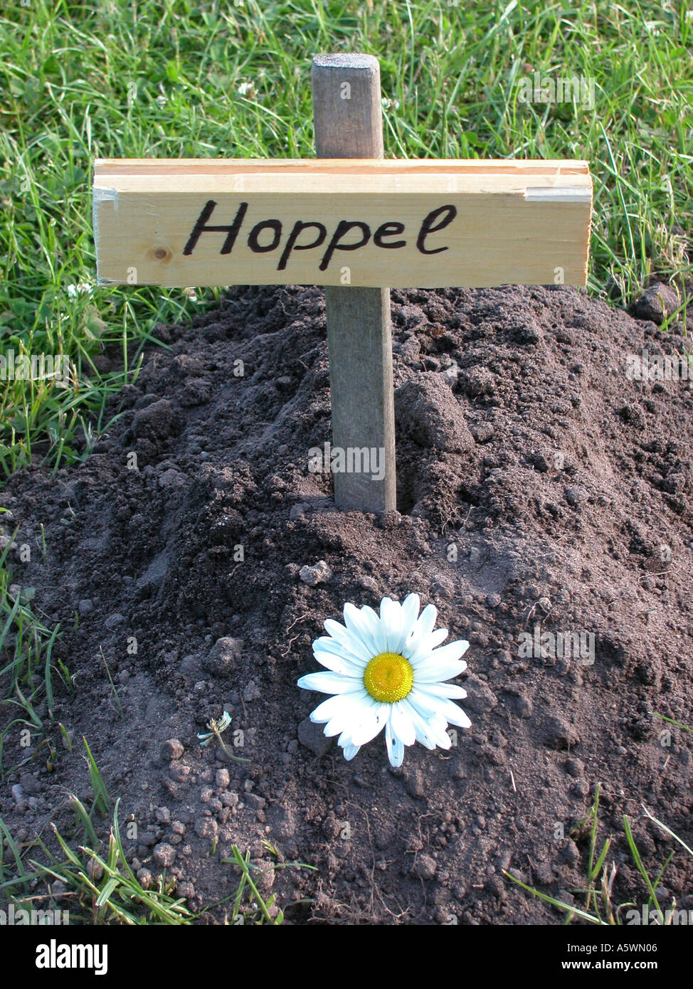 animal grave funeral Stock Photo - Alamy