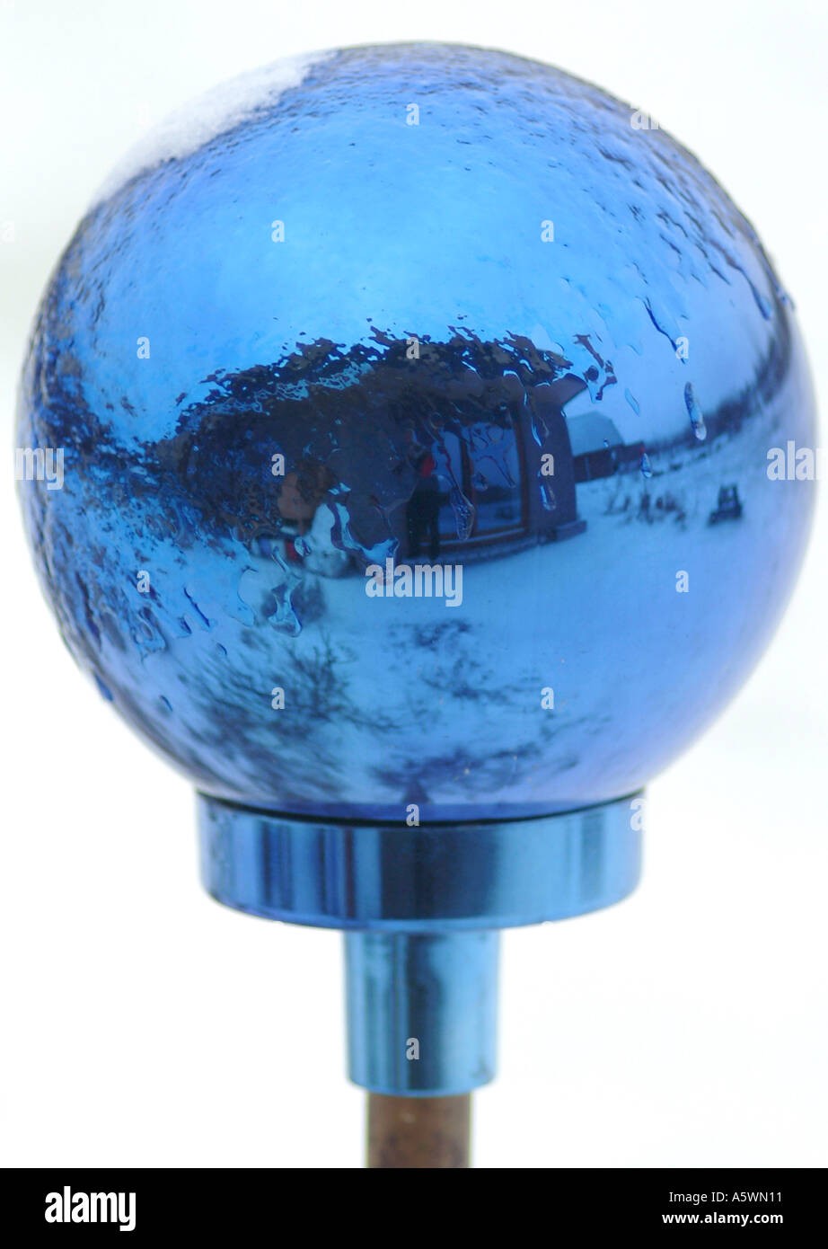 froze rose ball Stock Photo - Alamy