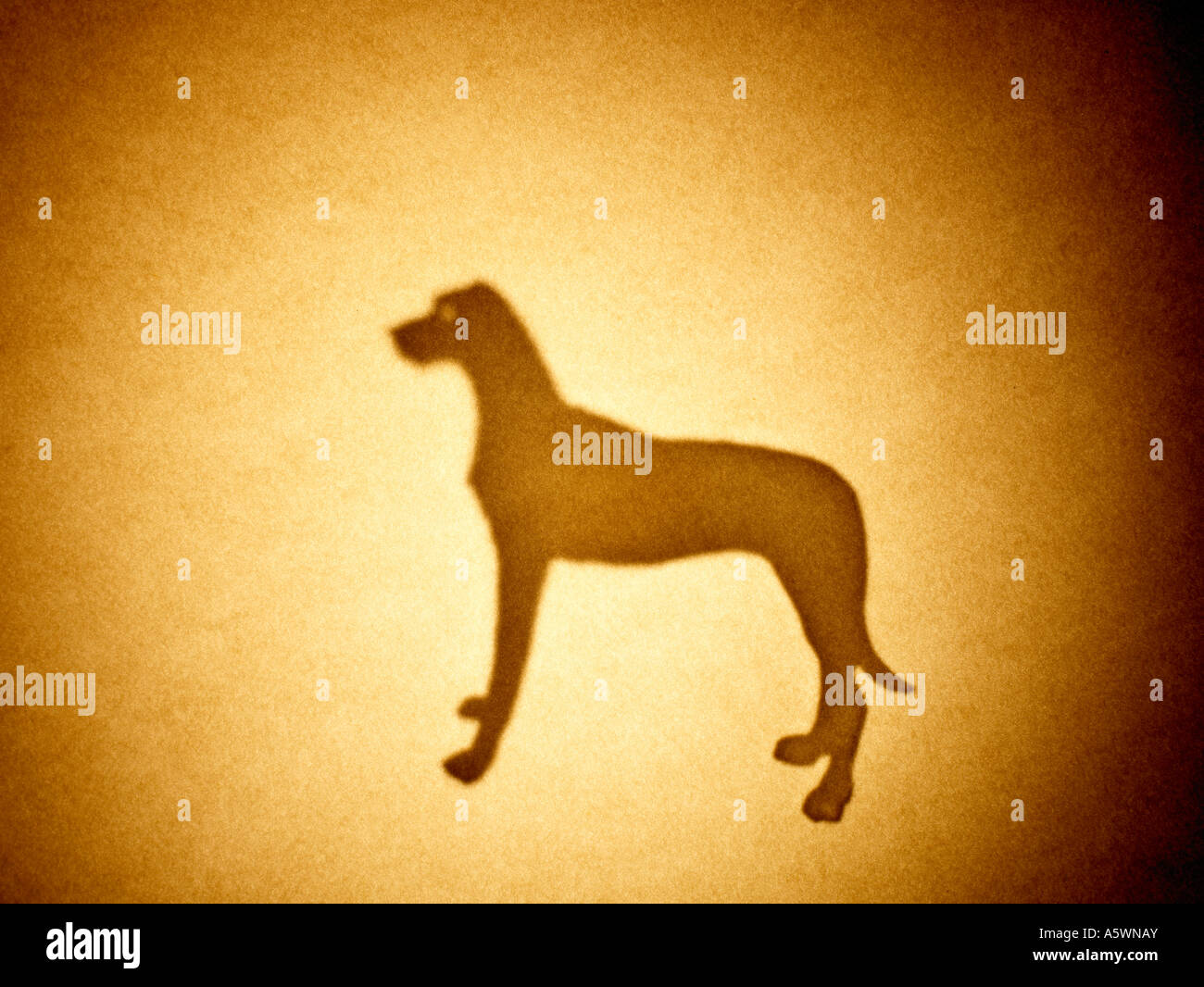 Dog silhouette outline hi-res stock photography and images - Alamy