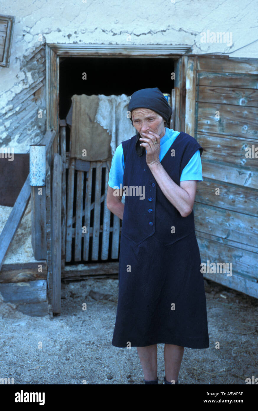 A poor farmers wife in her back yard in the hungarian Szekely region of ...
