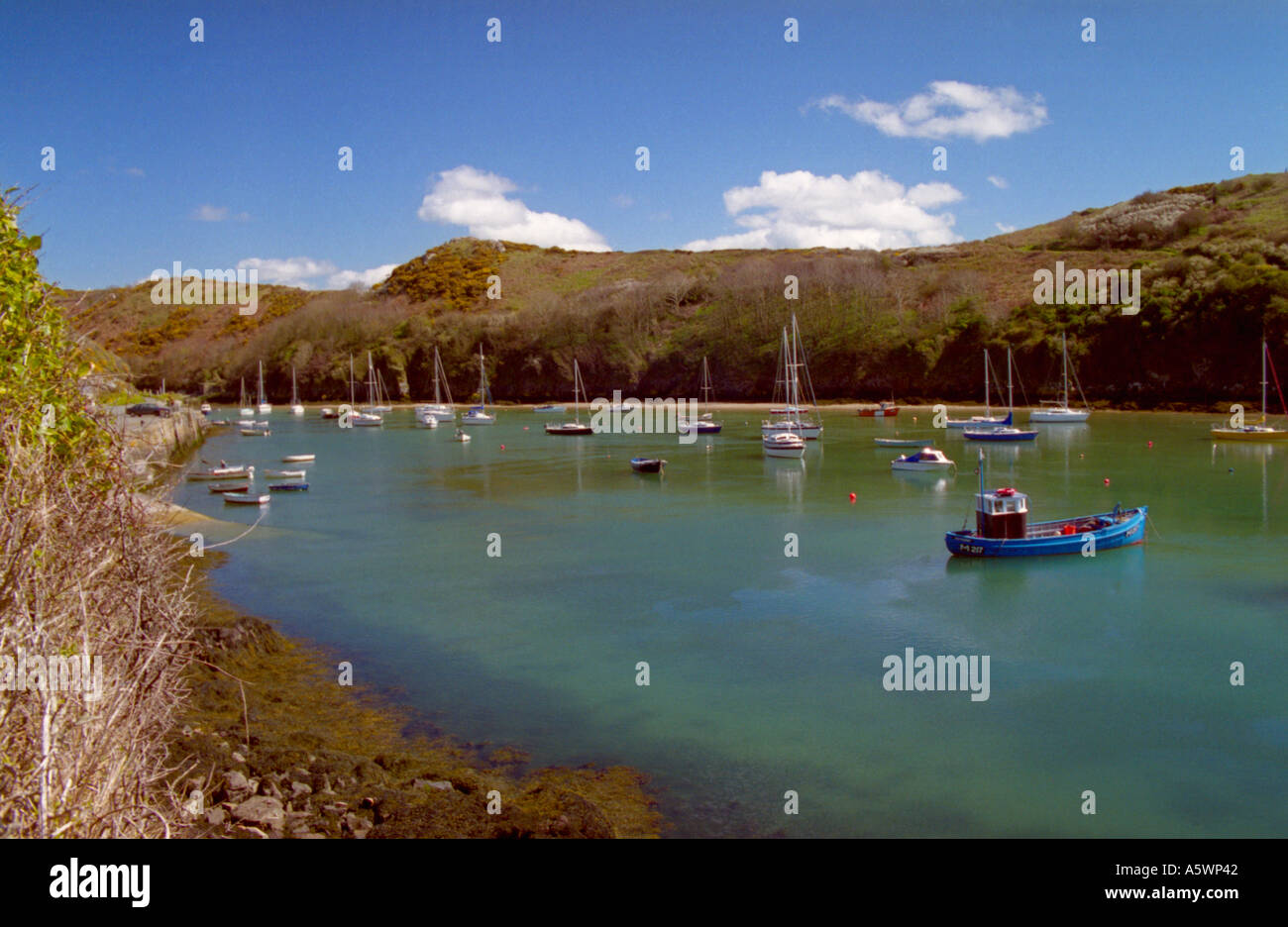 Boats in Solva harbour Stock Photo - Alamy