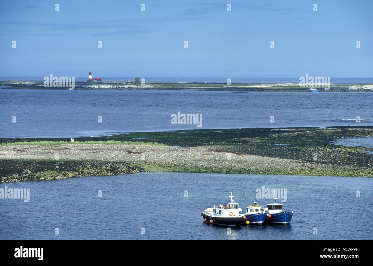 The view from inner farne islands looking towards outer farne with the ...