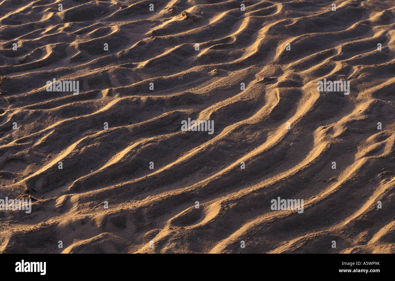 Sand ripples on a beach in England Stock Photo - Alamy