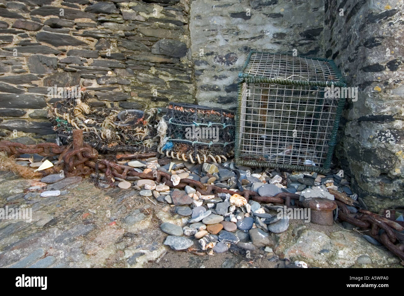 Crustacean waste hi-res stock photography and images - Alamy