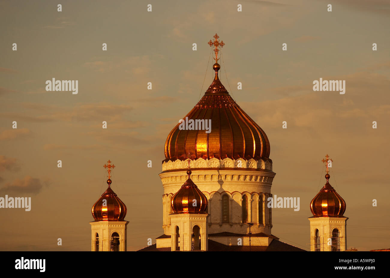 GOLD DOMES ON CATHEDRAL OF CHRIST THE SAVIOUR AT TWILIGHT MOSCOW RUSSIA ...