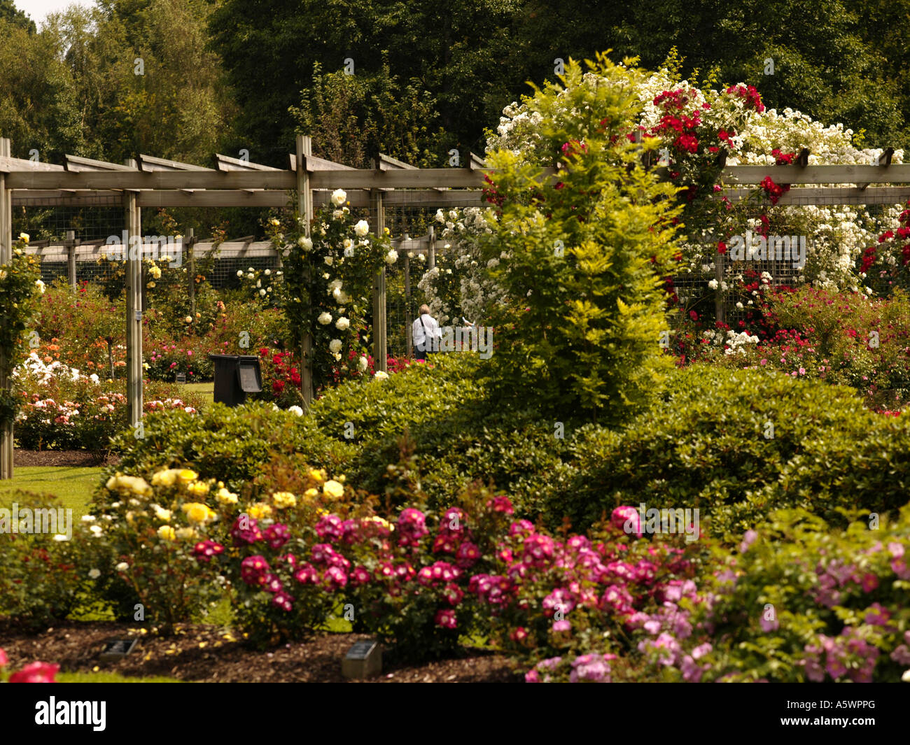 Lady dixon park hi-res stock photography and images - Alamy