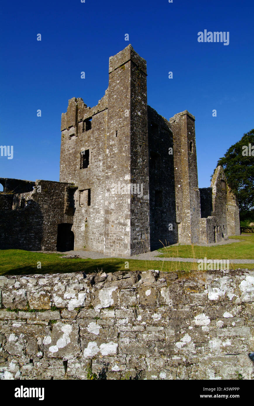 Abbey of kells hi-res stock photography and images - Alamy