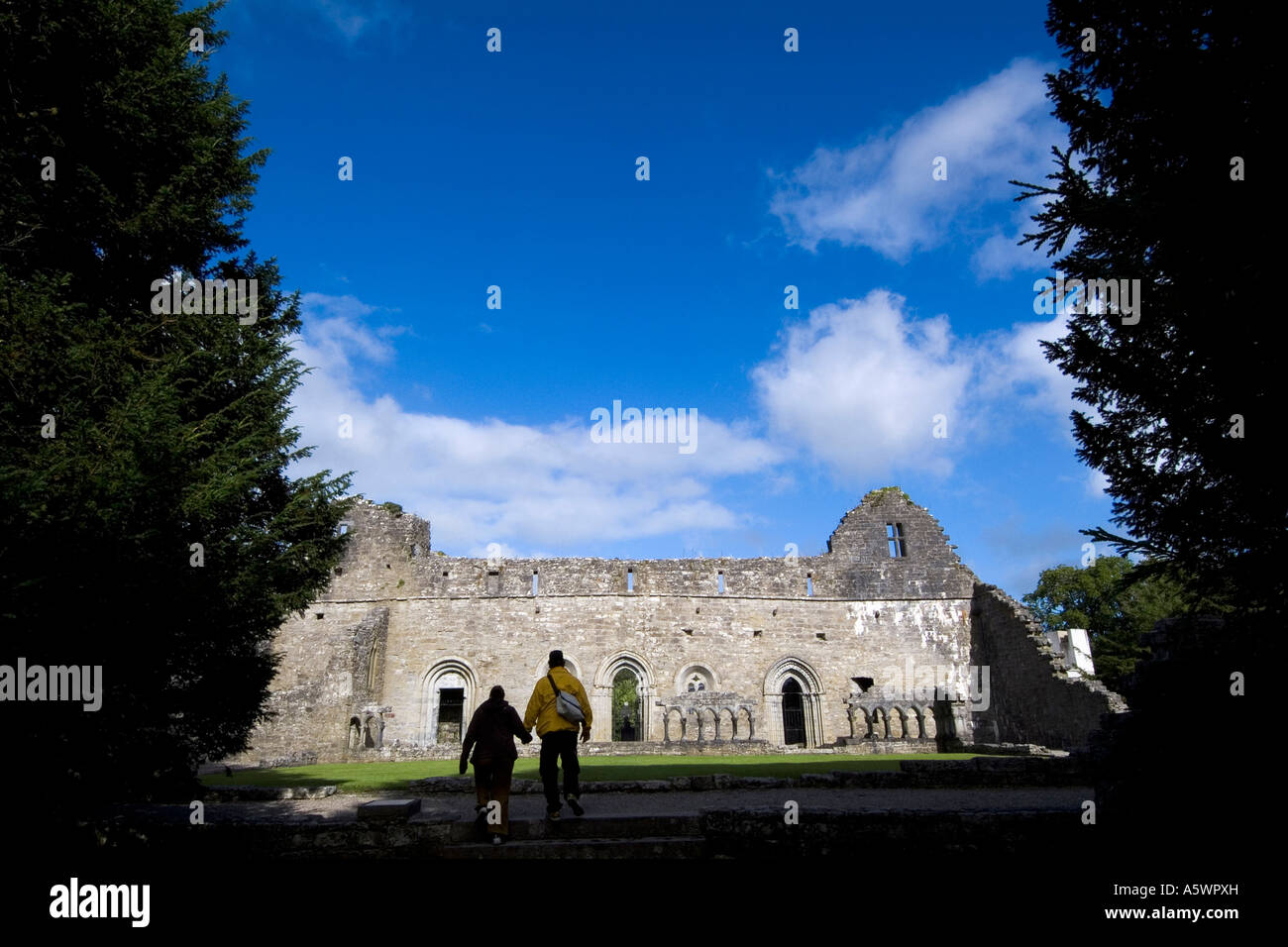 Cong Abbey, Co. Mayo, Ireland Stock Photo - Alamy