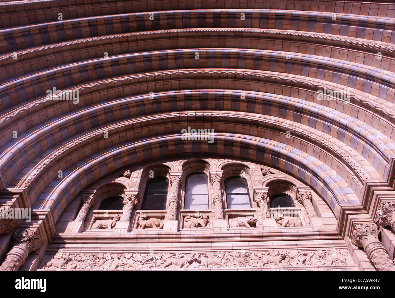 ornate carved entrance to the science museum london england Stock Photo ...
