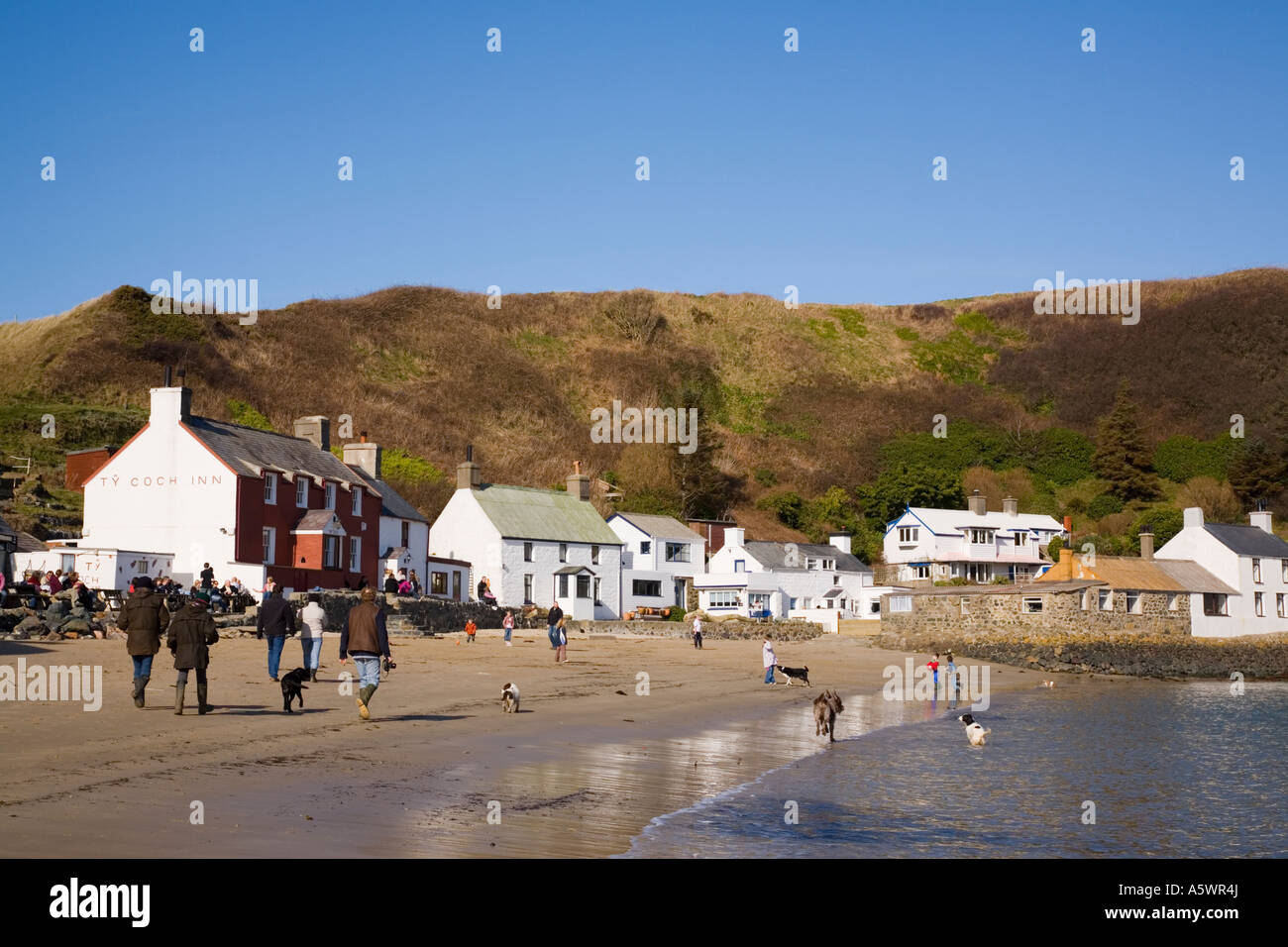 Ty Coch Inn and white seafront cottages on beach at Porth Dinllaen ...