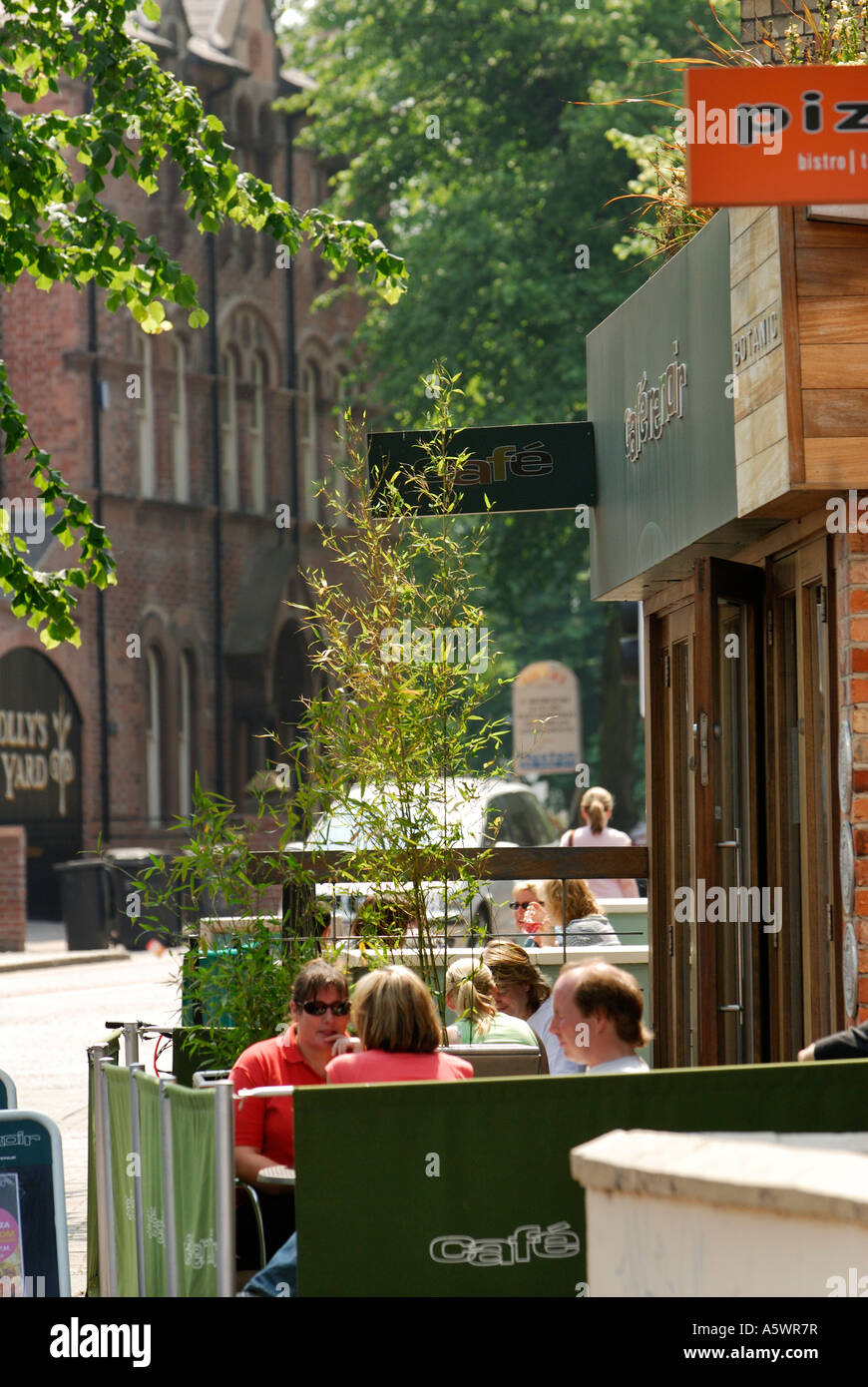 Botanic avenue hi-res stock photography and images - Alamy