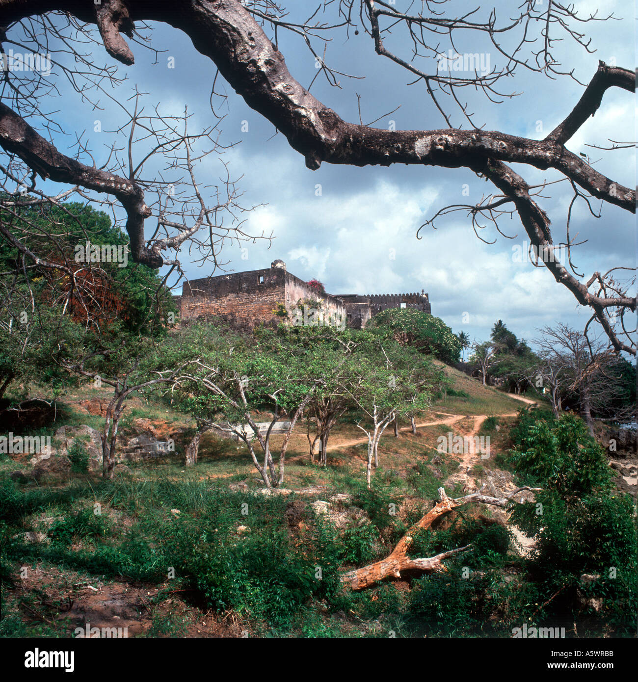 Fort Jesus, Mombasa, Kenya, East Africa Stock Photo - Alamy