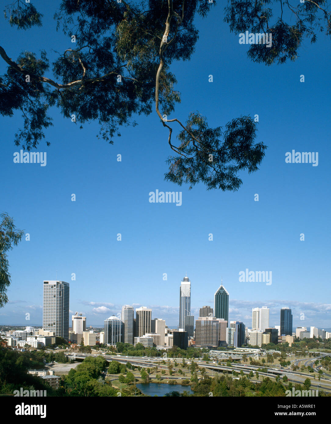 Perth taken from kings park hi-res stock photography and images - Alamy
