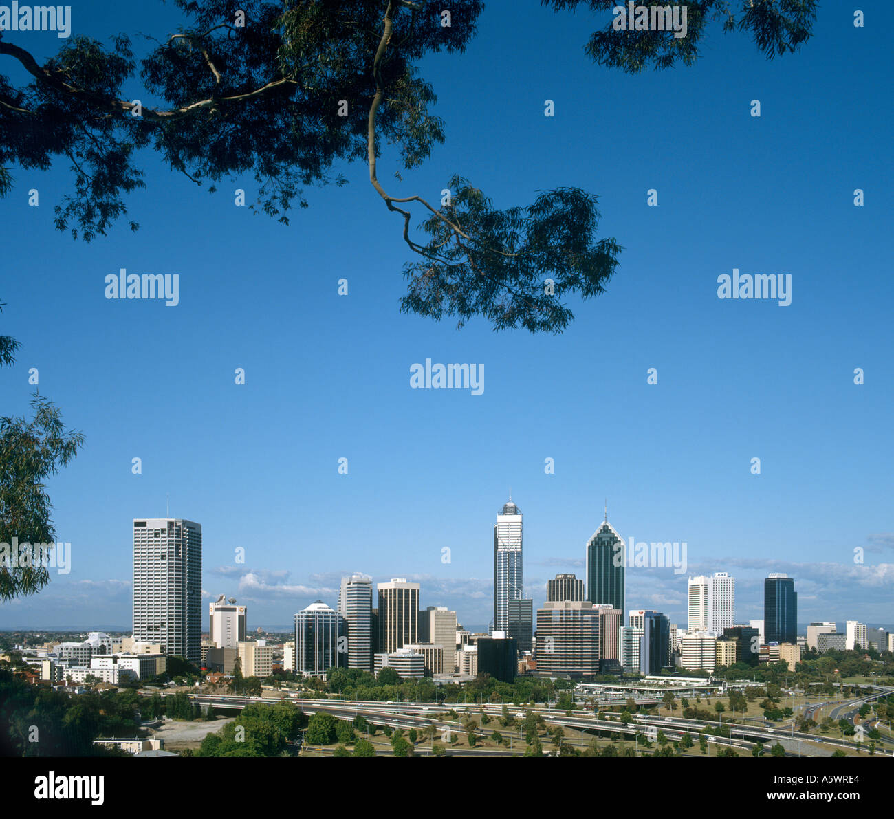 City from Kings Park, Perth, Western Australia, Australia, taken in ...