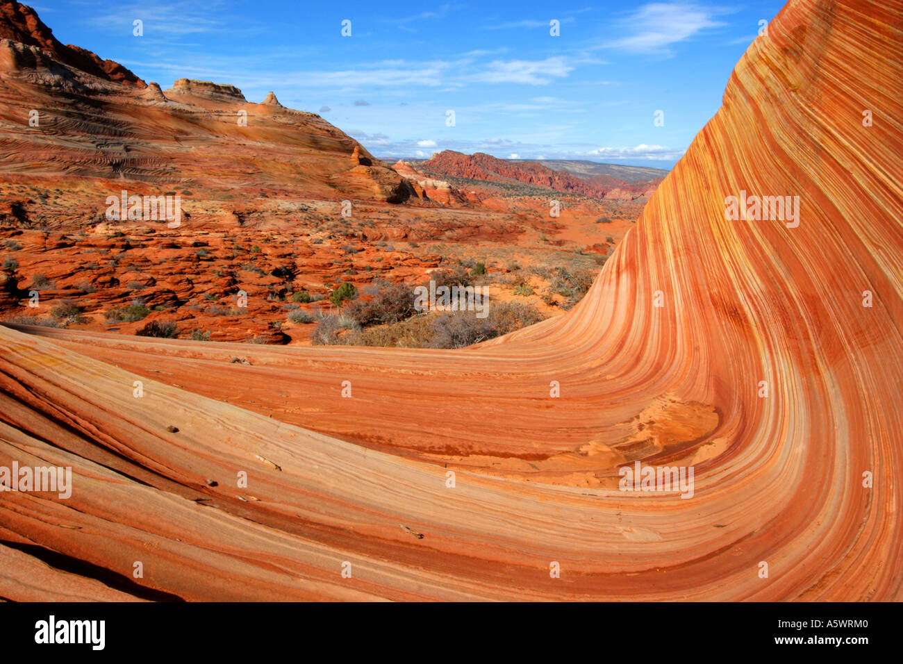 the wave, coyote buttes, arizona Stock Photo - Alamy