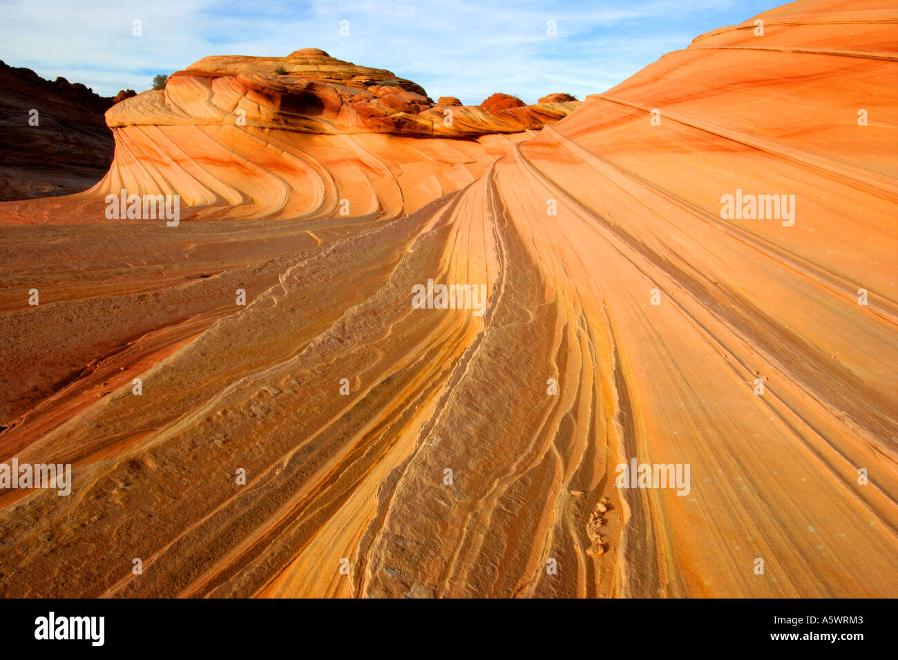 the second wave, coyote buttes, arizona Stock Photo - Alamy