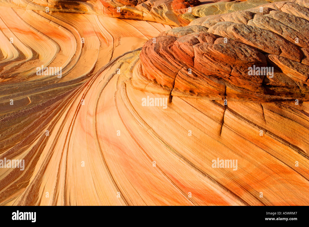 the second wave, coyote buttes, arizona Stock Photo - Alamy