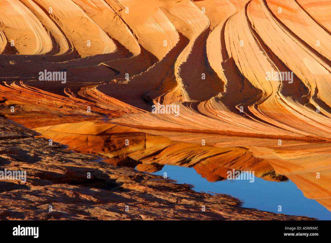 the second wave, coyote buttes, arizona Stock Photo - Alamy