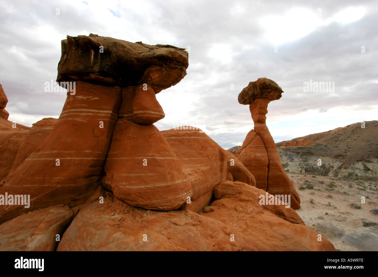 toadstool hoodoo the rimrocks grand staircase escalante national ...