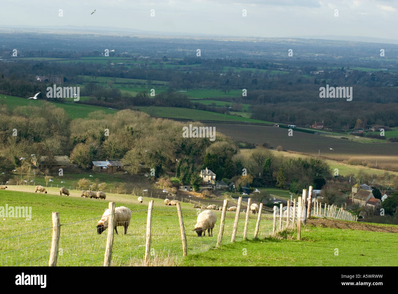 Chalk Downs High Resolution Stock Photography and Images - Alamy