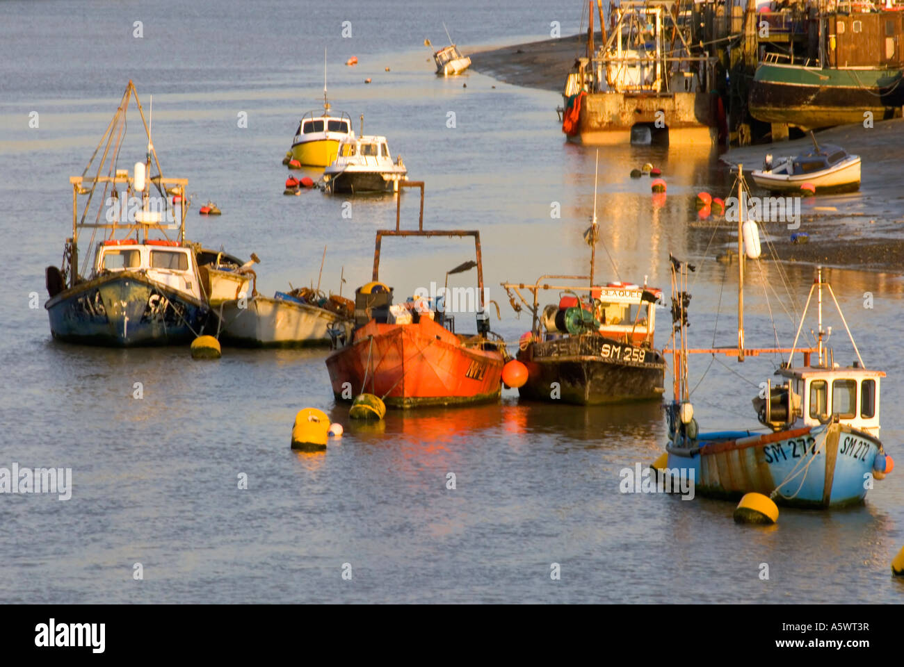 Summer river fisheries uk hi-res stock photography and images - Alamy