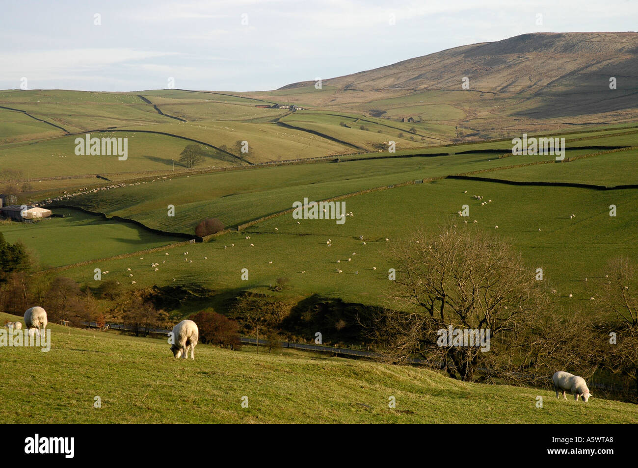 Shutlingsloe macclesfield forest hi-res stock photography and images ...