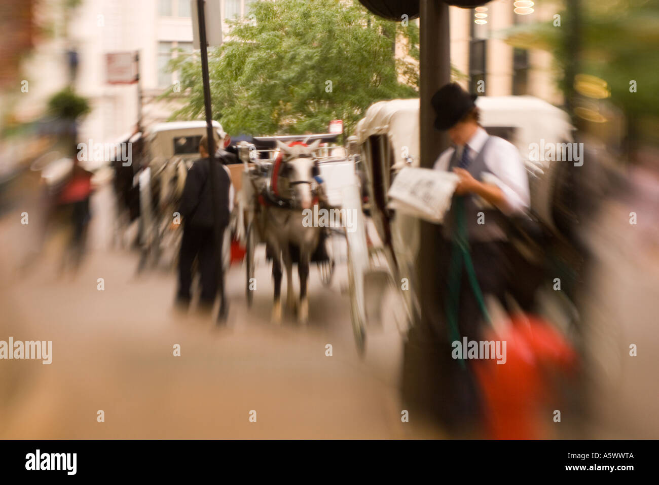 Chicago horse carriage hi-res stock photography and images - Alamy