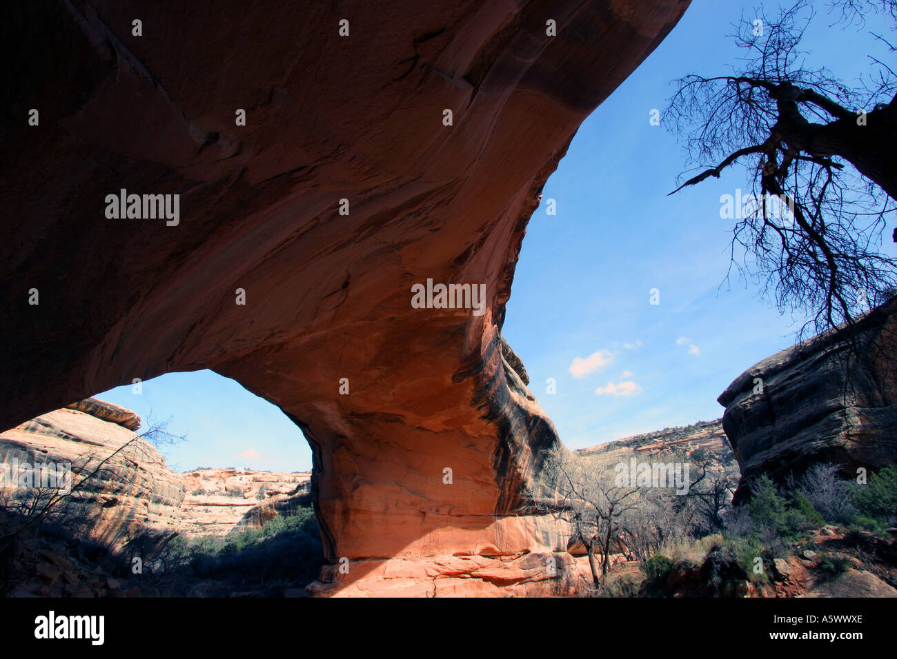 kachina bridge, natural bridges national monument, utah Stock Photo - Alamy