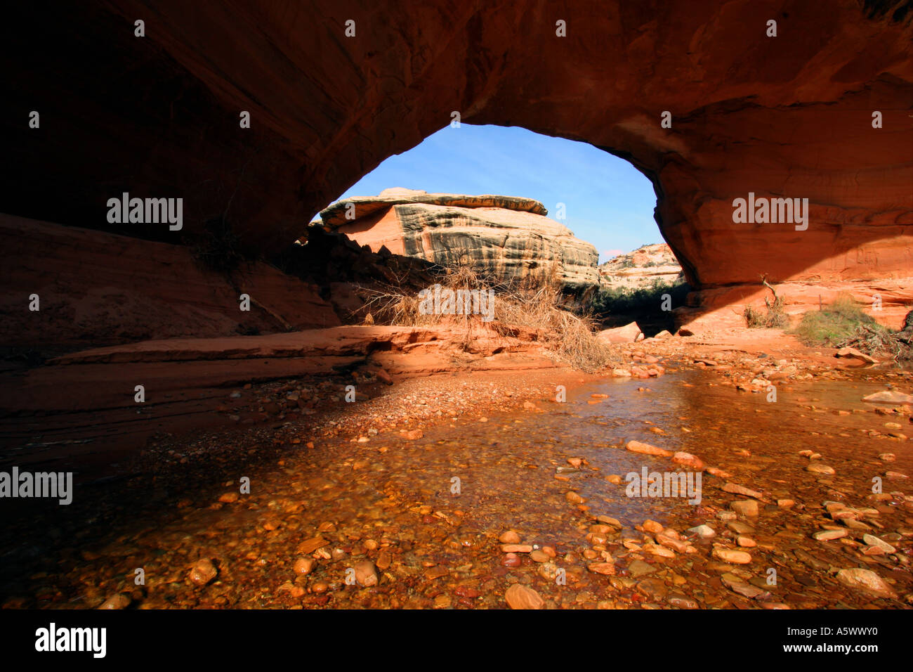 kachina bridge, natural bridges national monument, utah Stock Photo - Alamy