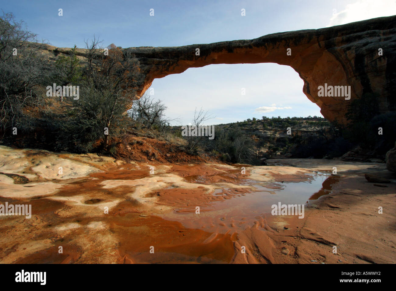 owachomo bridge, natural bridges national monument, utah Stock Photo ...