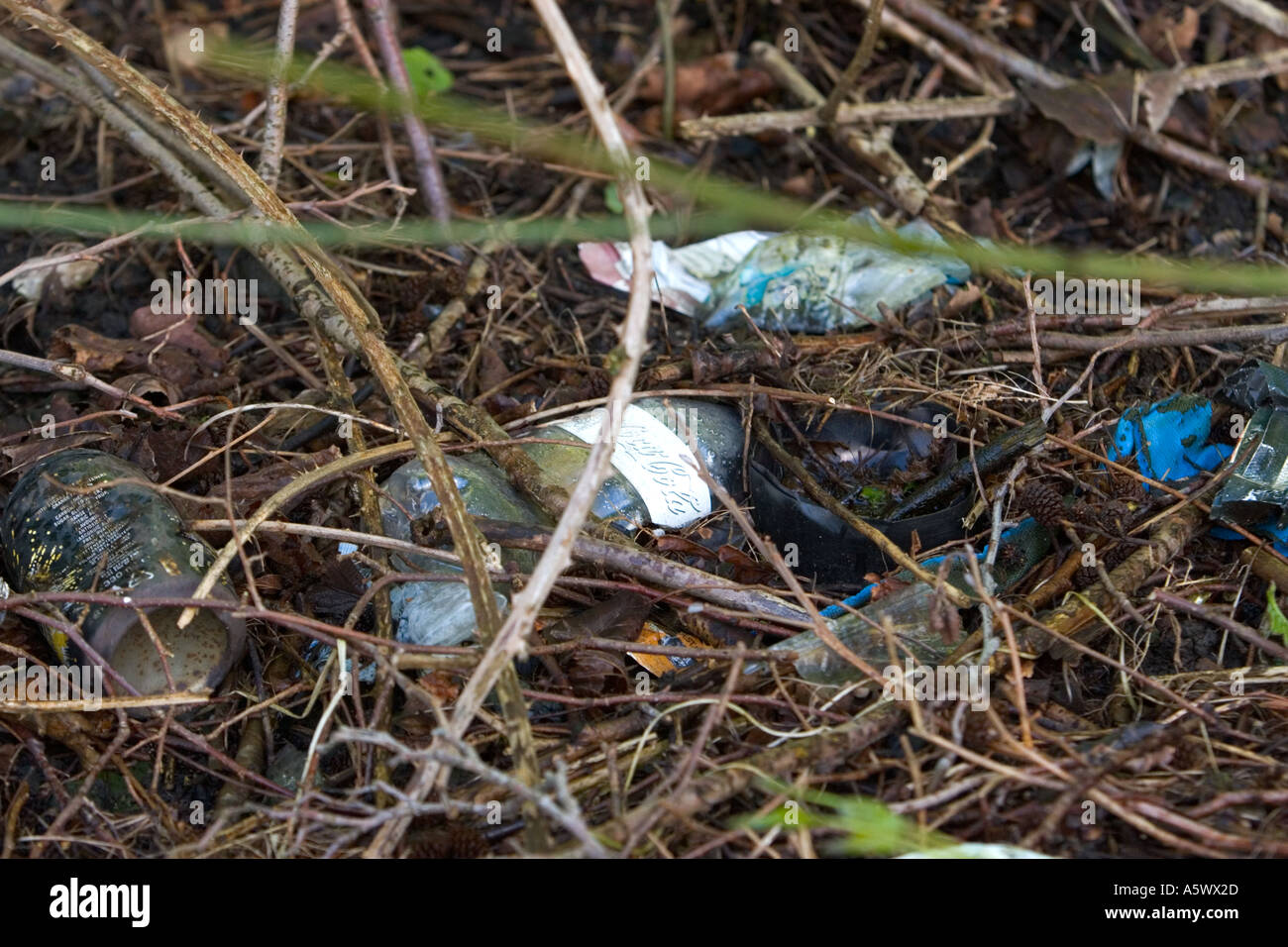 overgrown vegetation and rubbish choking canal in radcliffe bury ...