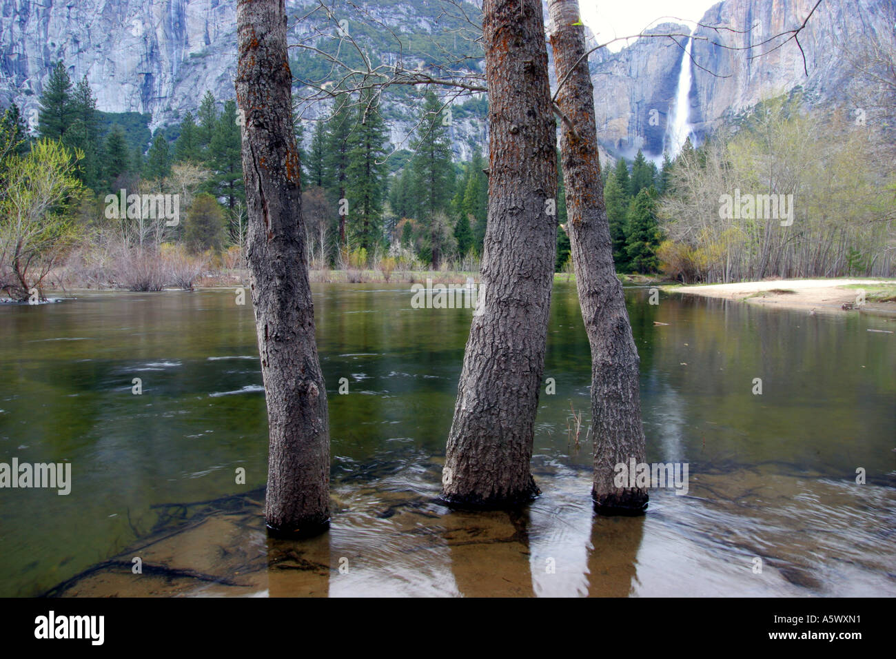 Merced river in flood hi-res stock photography and images - Alamy