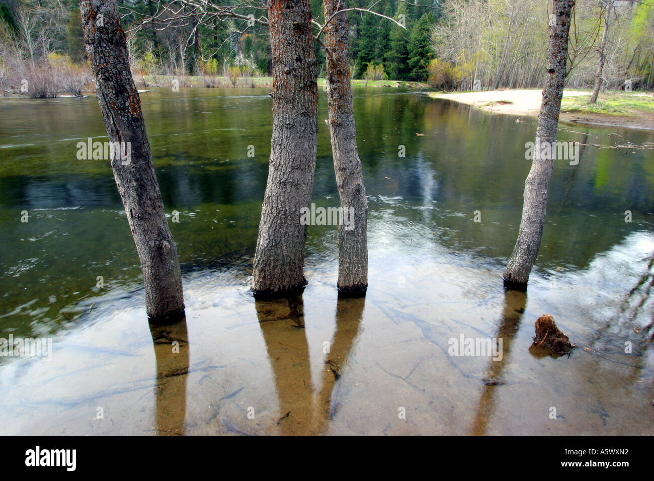 Merced river in flood hi-res stock photography and images - Alamy