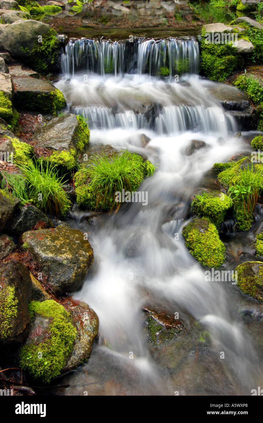 Fern springs yosemite national park hi-res stock photography and images ...