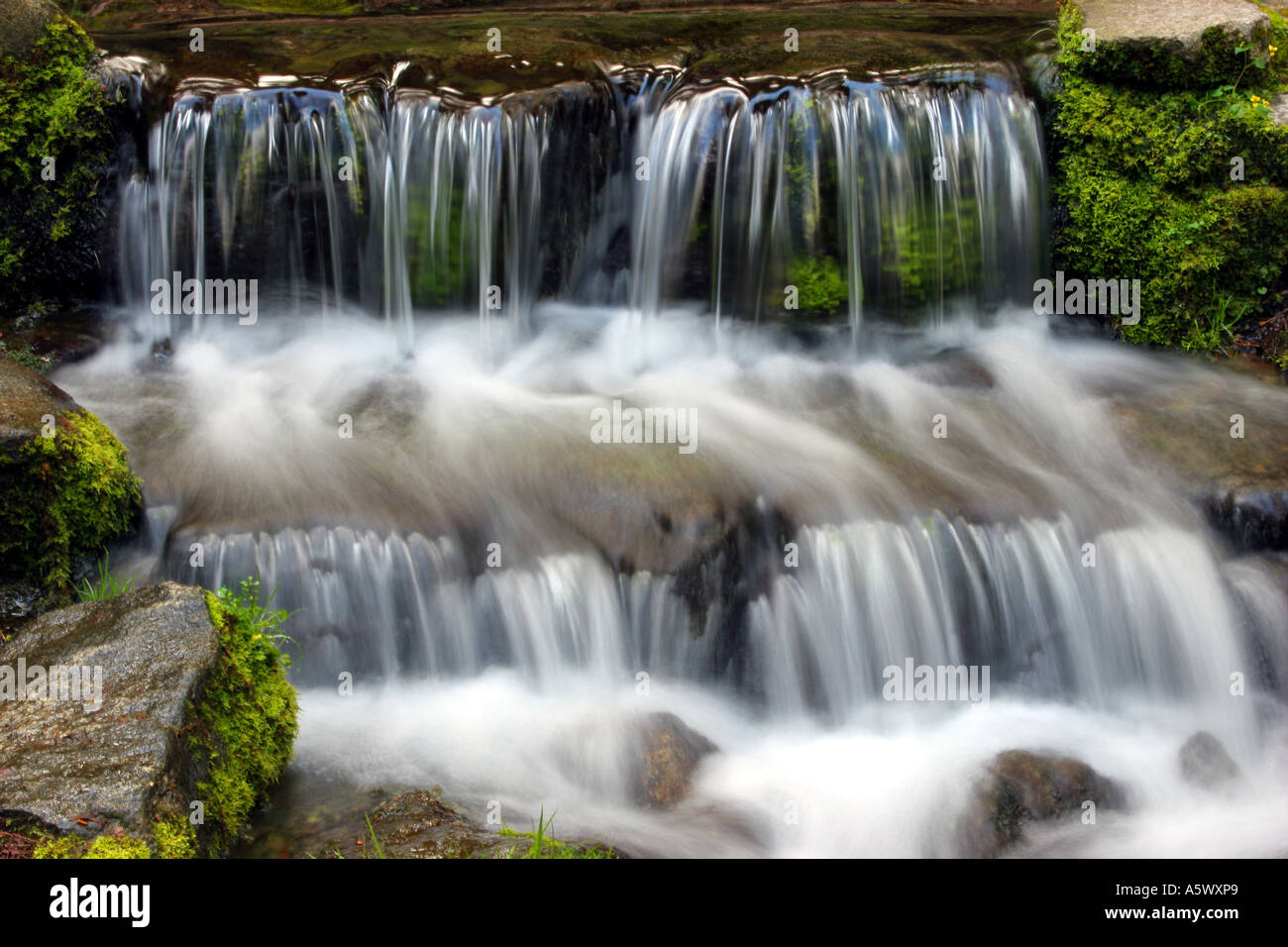 Fern springs yosemite national park hi-res stock photography and images ...