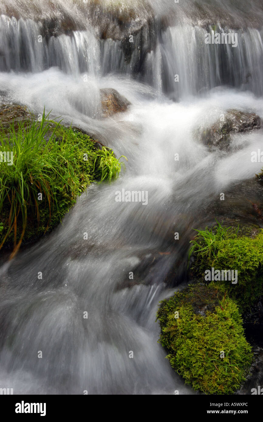Fern springs yosemite national park hi-res stock photography and images ...