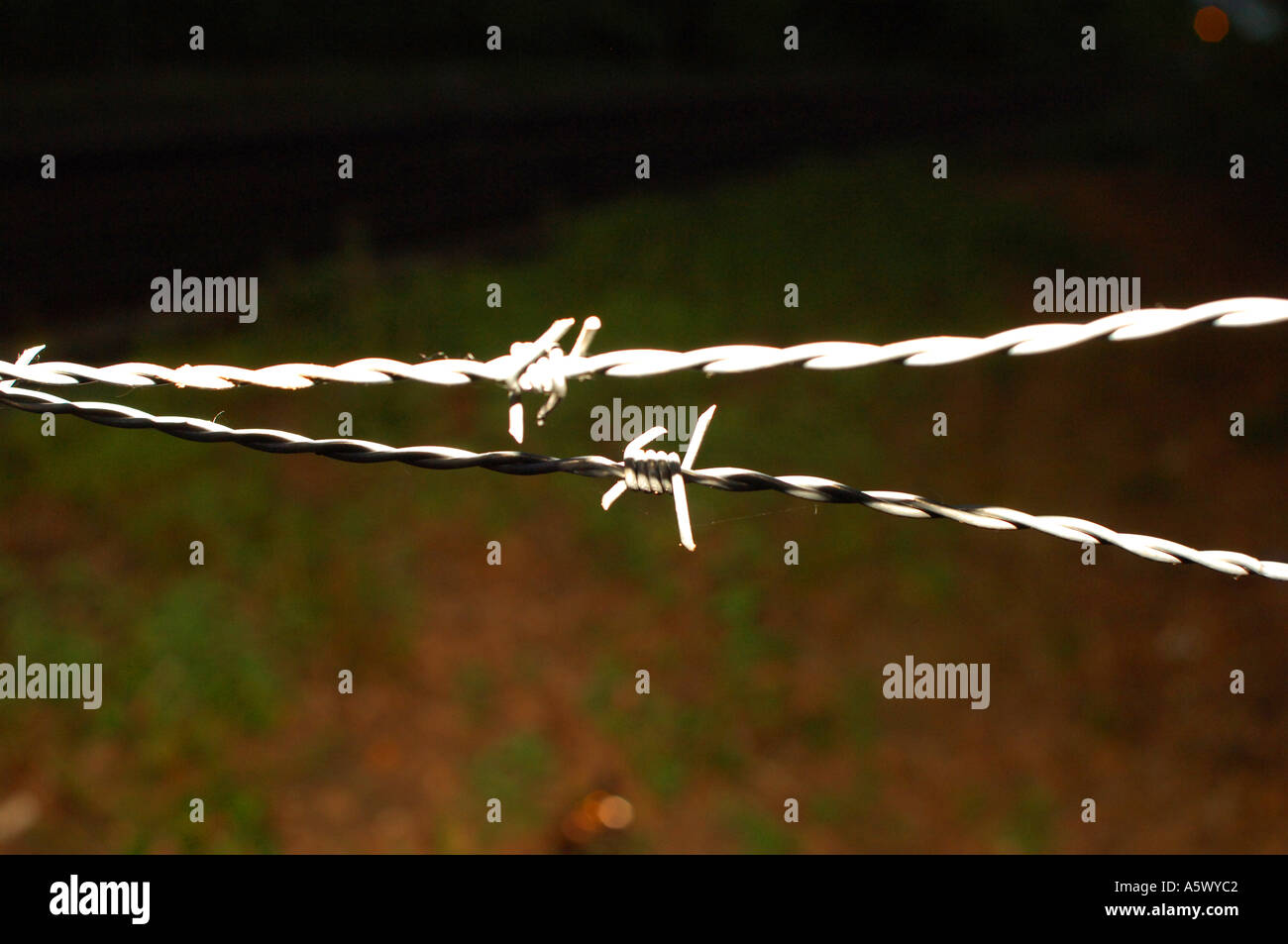 Spiky barbed wire fencing hi-res stock photography and images - Alamy