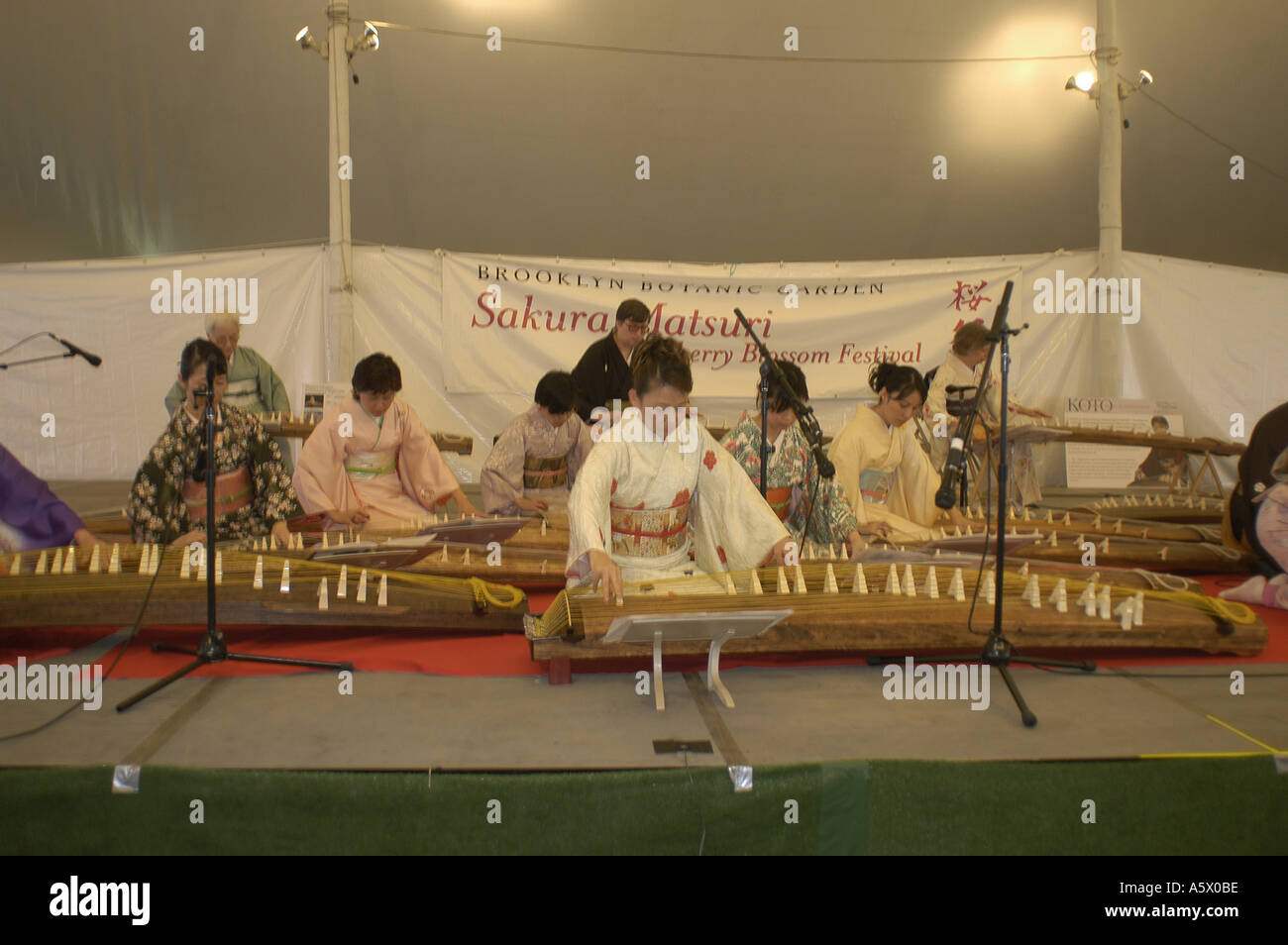 Traditional Japanese music performance New Yorkers celebrate the Cherry ...