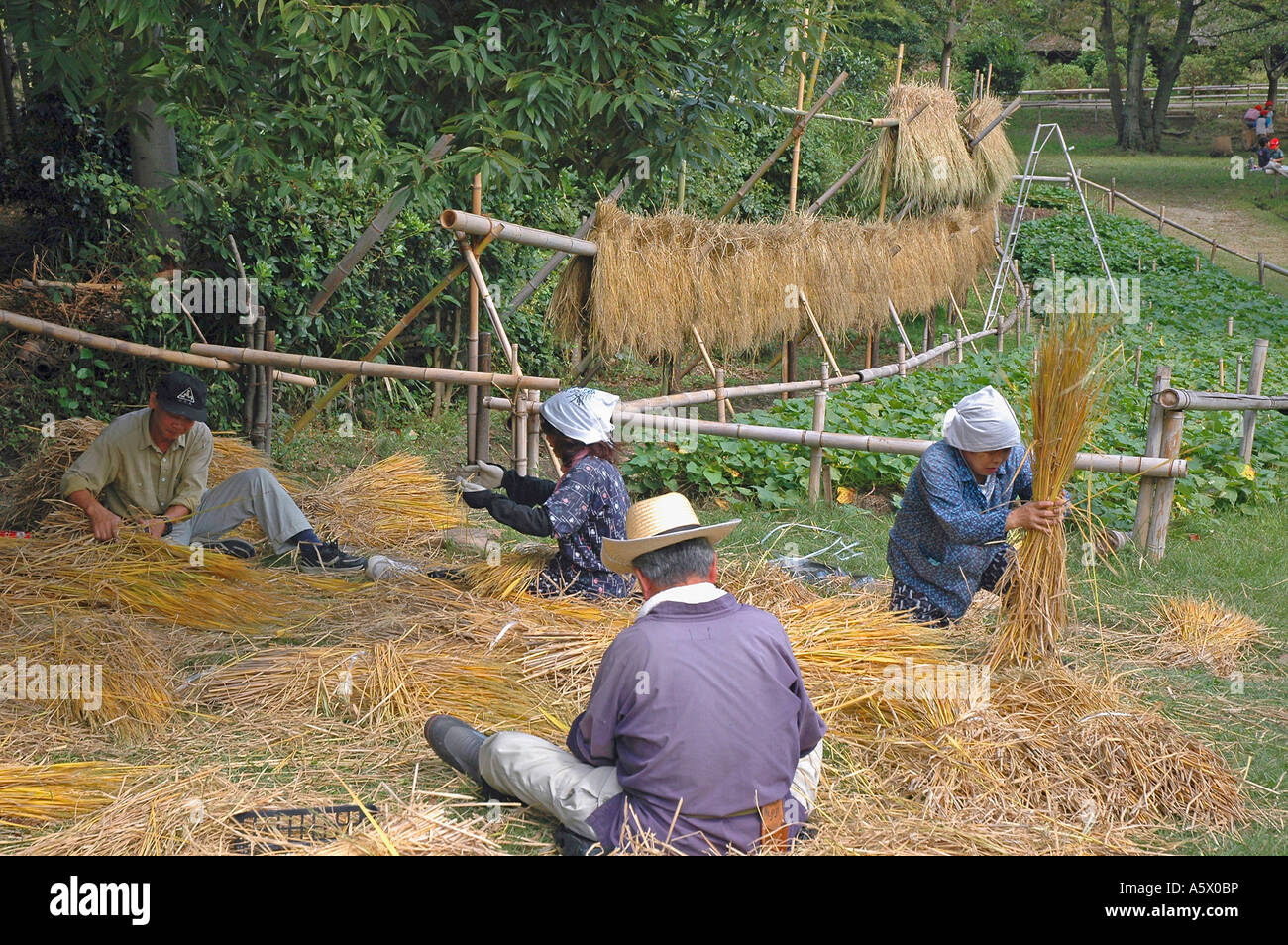 Ryokuchikoen High Resolution Stock Photography and Images - Alamy