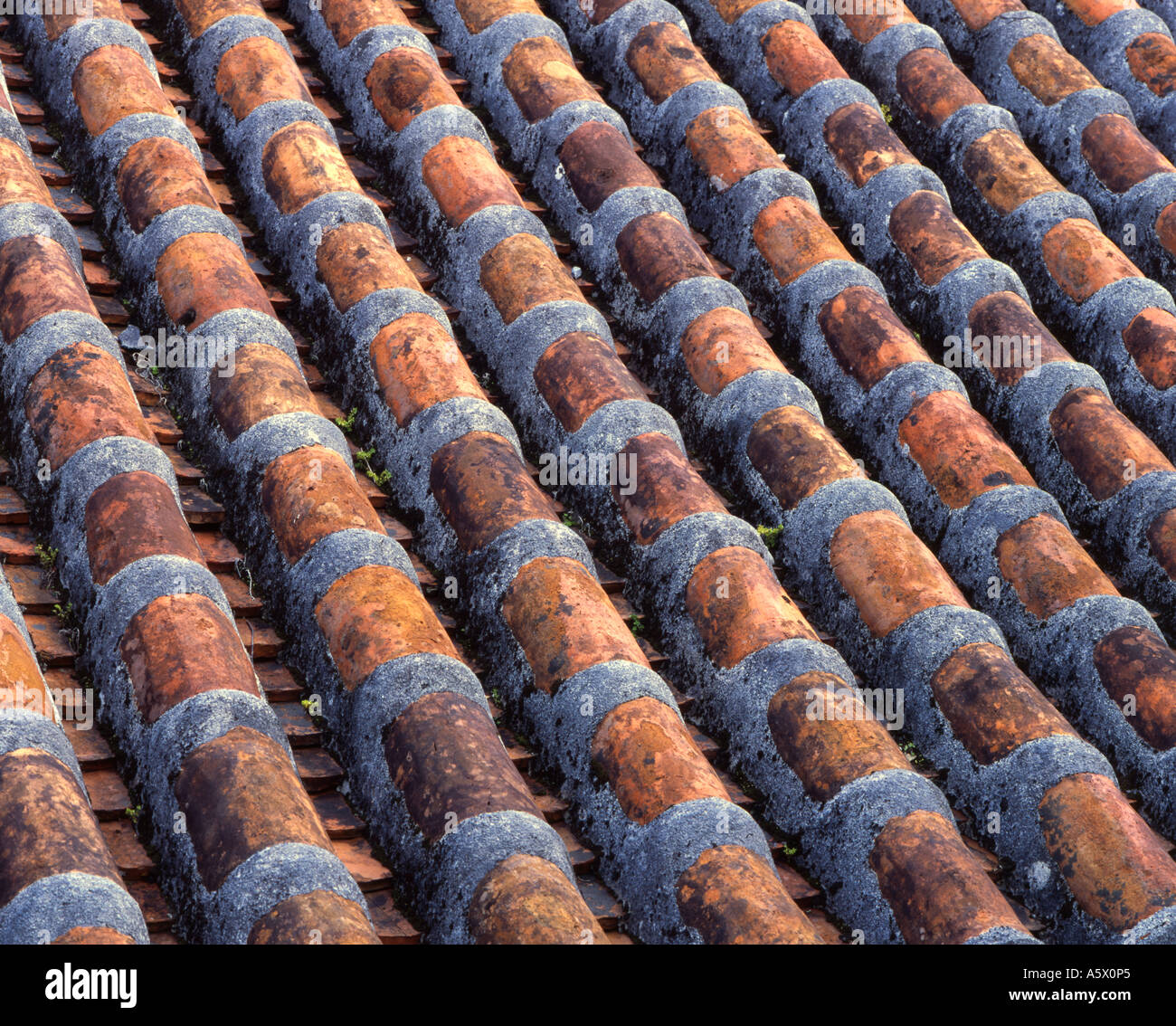 Okinawa red tile roof hi-res stock photography and images - Alamy