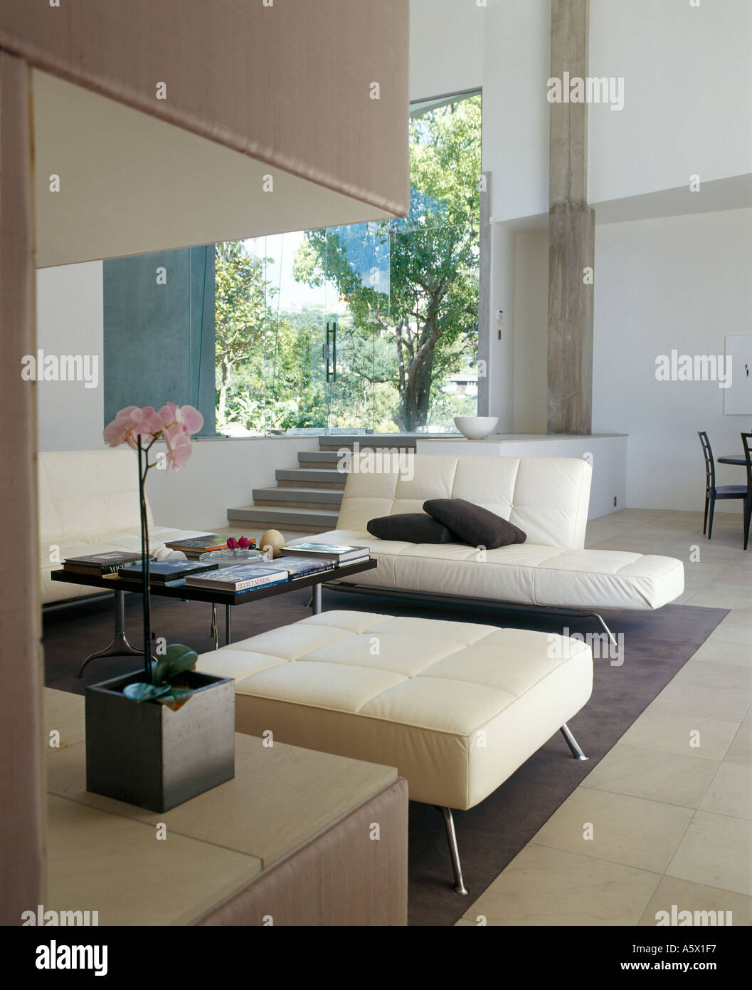 'See Through' Residence, Auckland. Open-plan living area. Architect ...