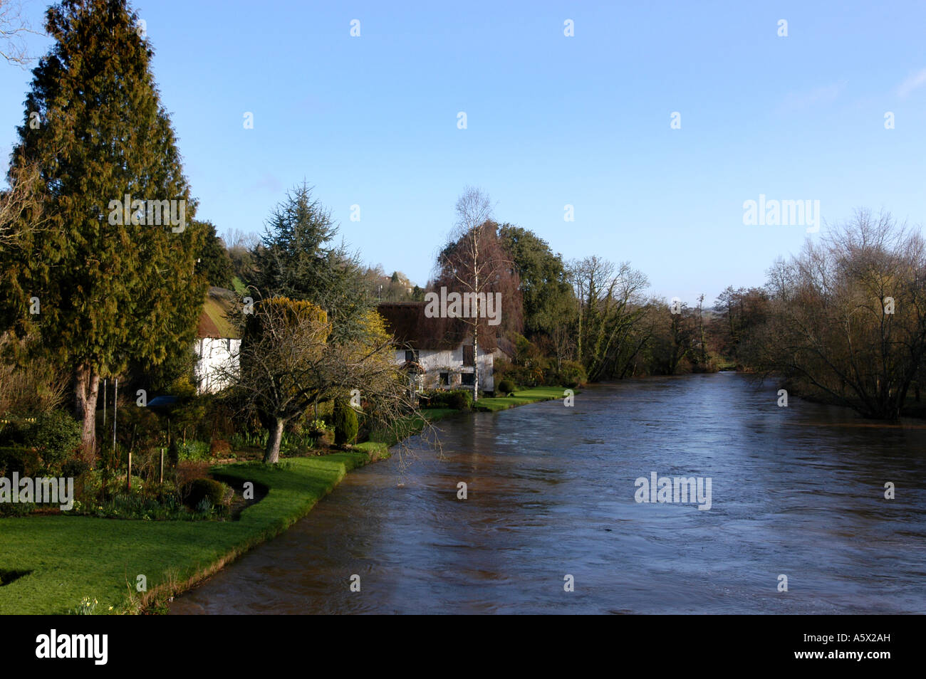 The fast flowing river exe swollen by heavy rain rushes by under the ...