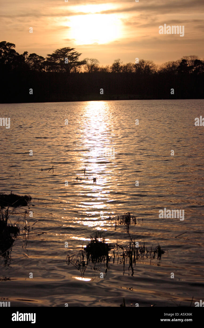 Sunset over water with reflection Stock Photo - Alamy