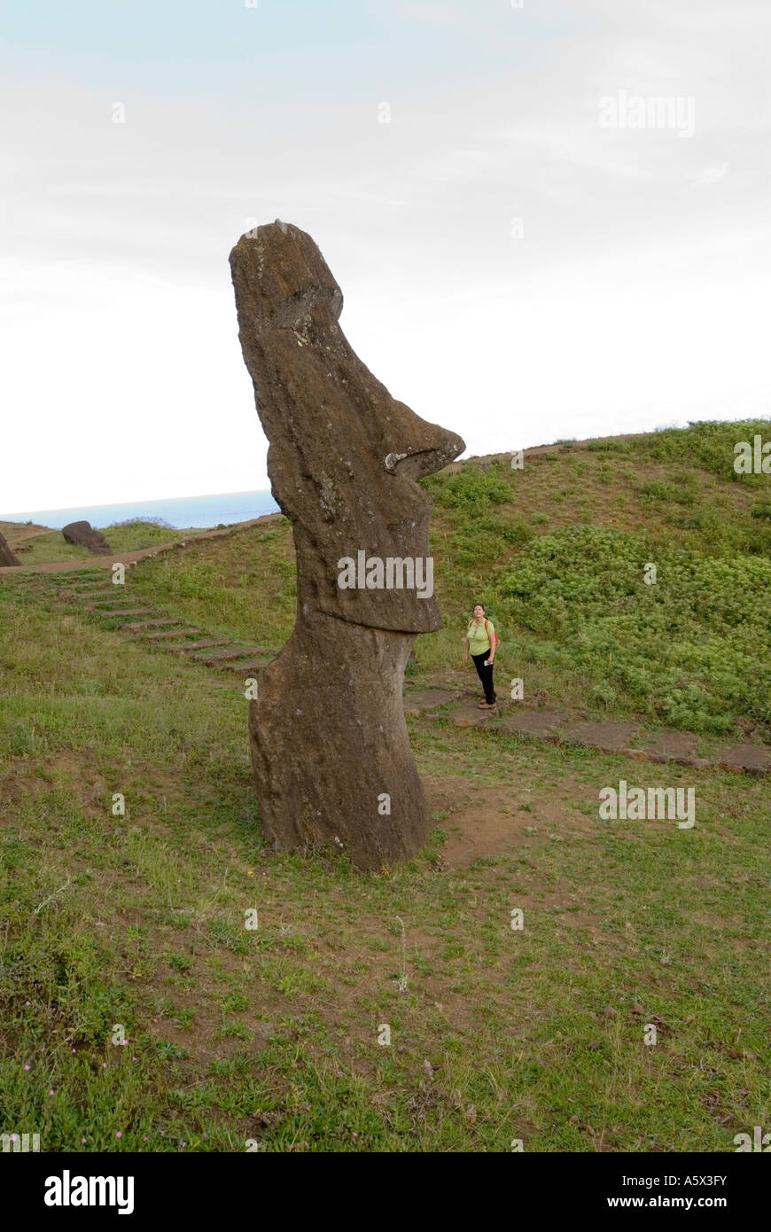 Chile Easter Island Sculptures at the quarry Rano Raraku where all the ...