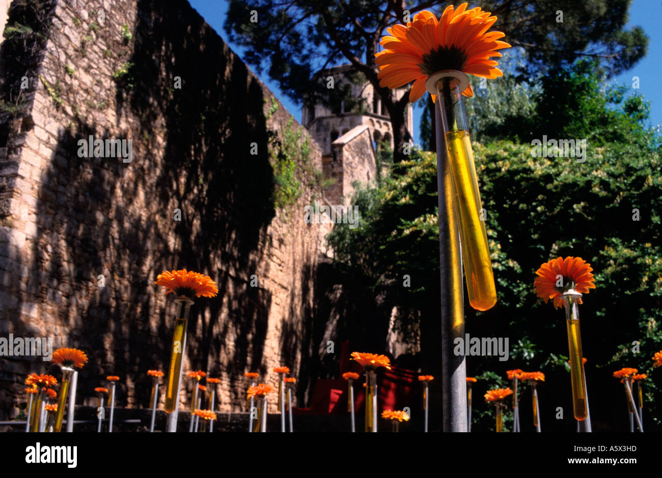Installation during the flowers festival "Girona,Temps de Flors" Girona ...