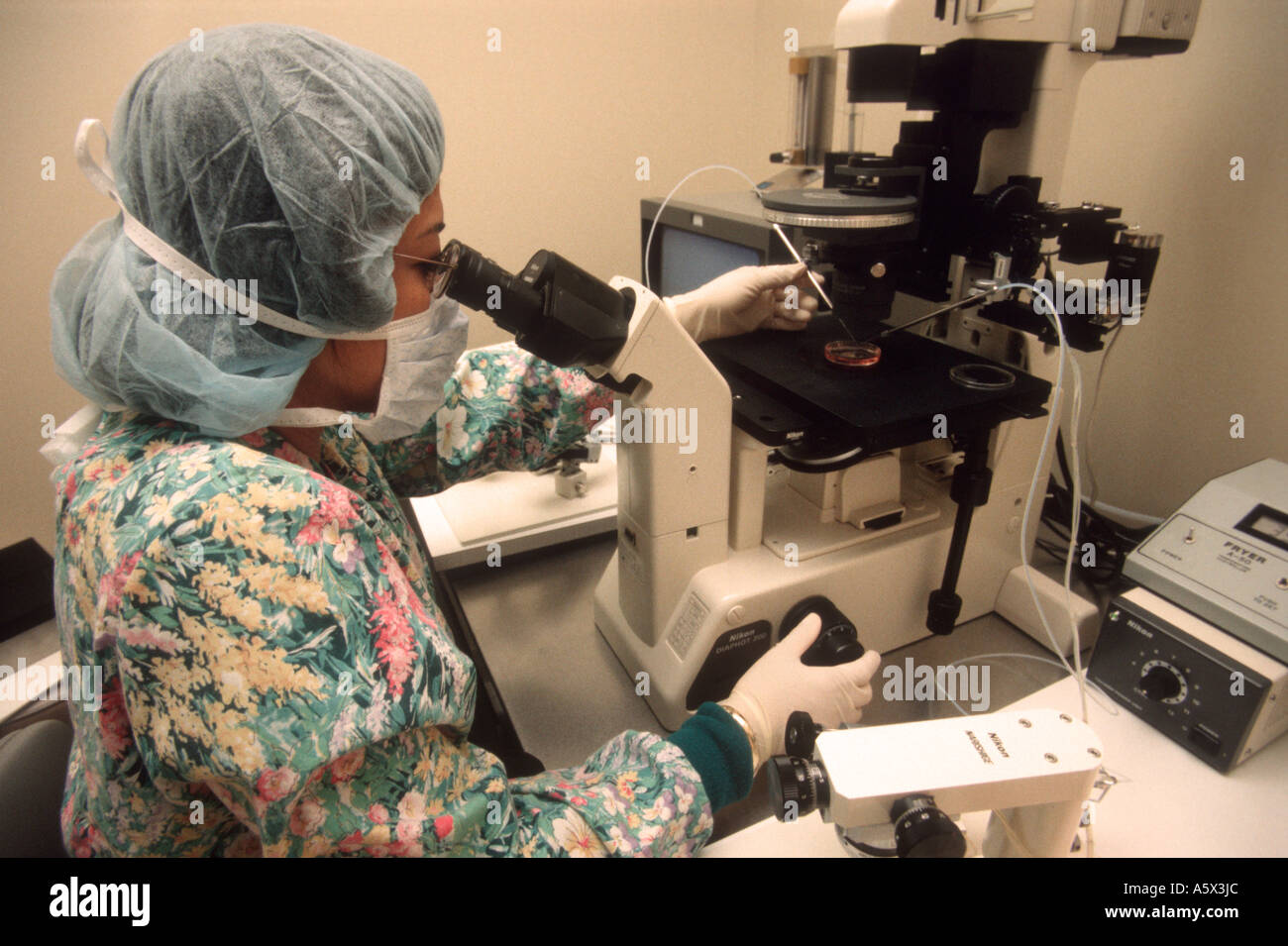 a laboratory technician at a fertility clinic looks through a ...