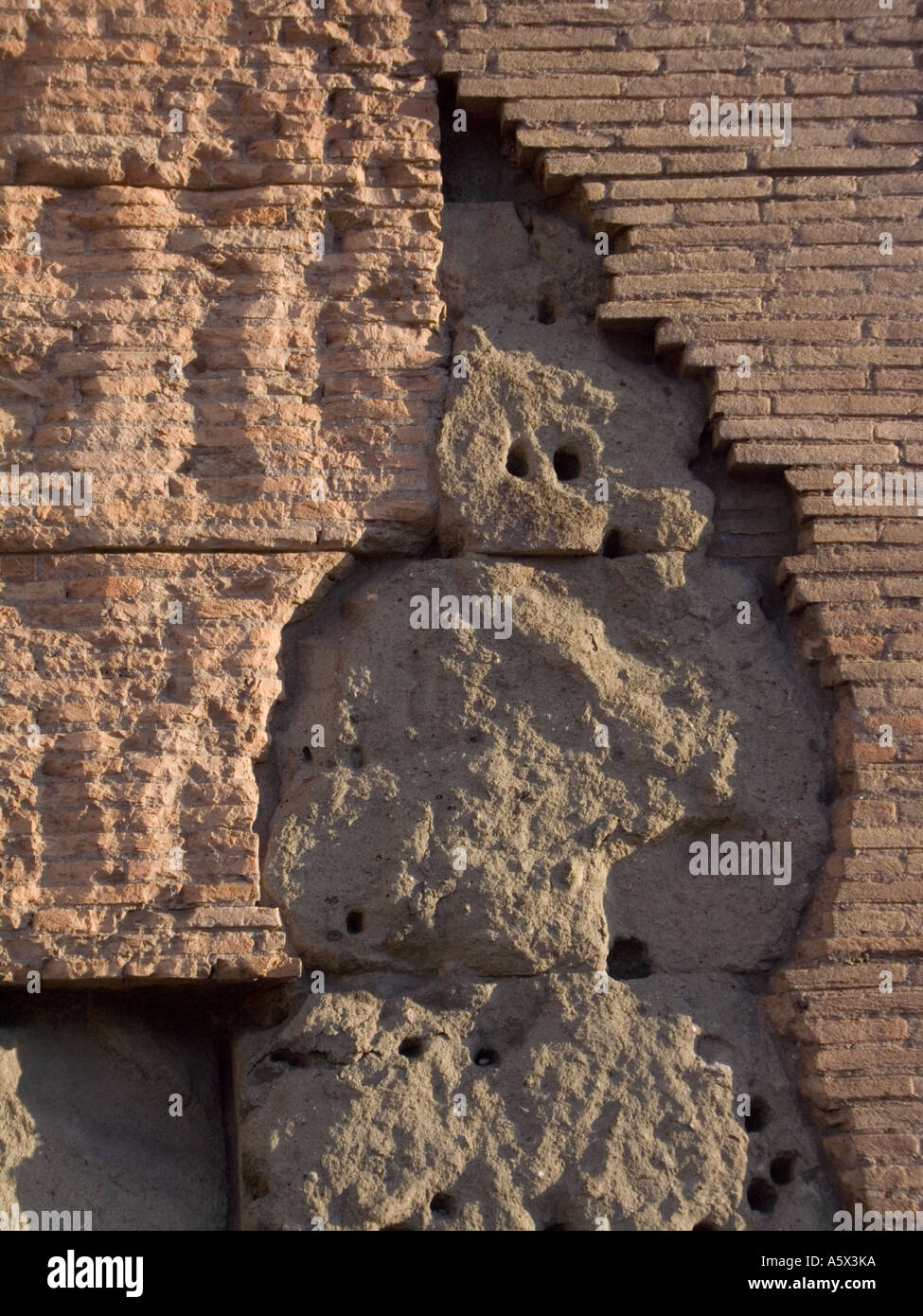 Finedrawing hi-res stock photography and images - Alamy