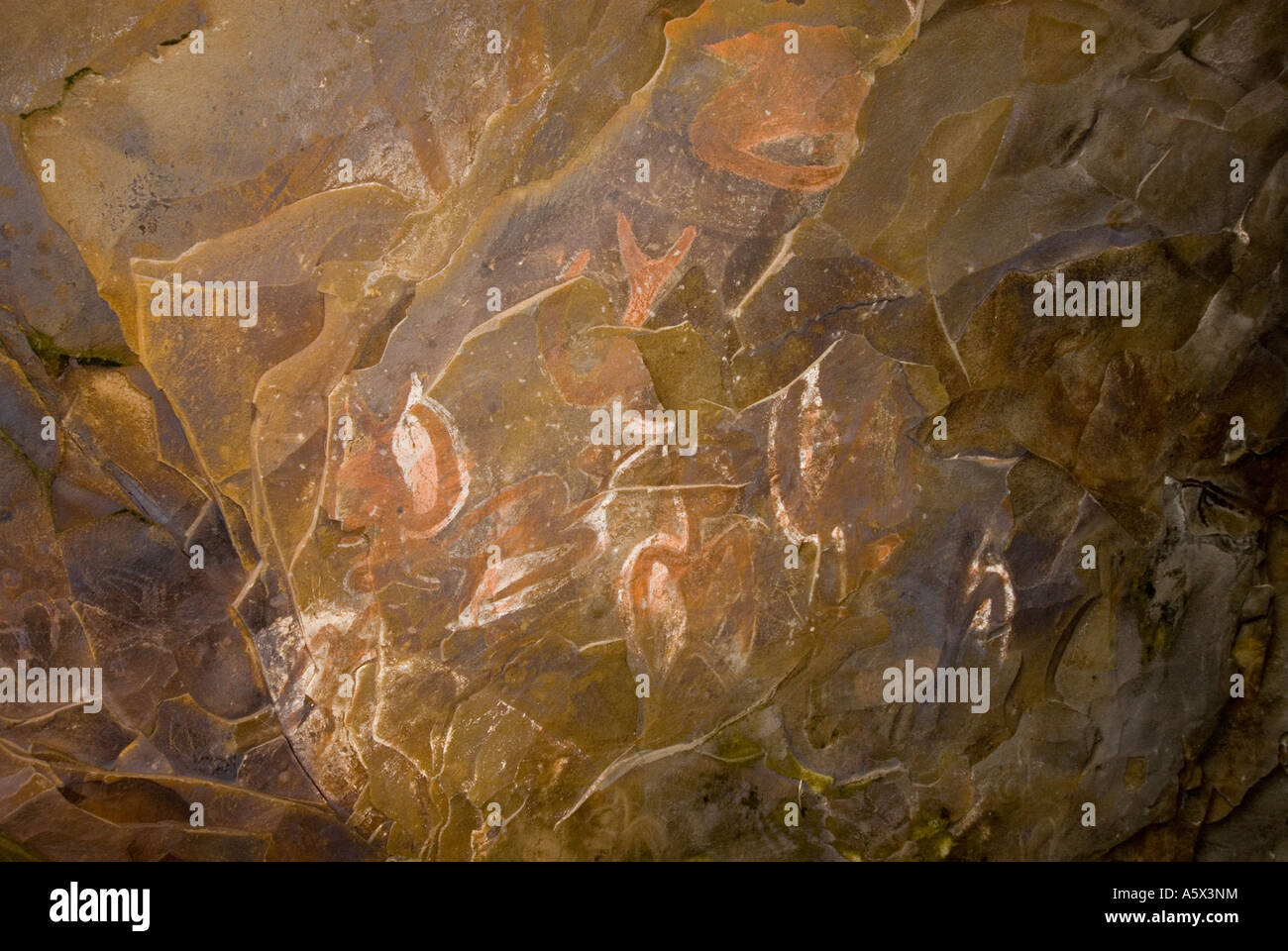 Chile Easter Island The cave Ana Kai Tangata where commoners waited to ...
