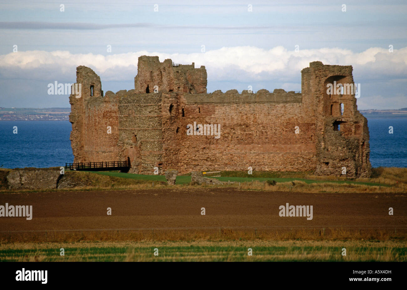 Berwick castle hi-res stock photography and images - Alamy