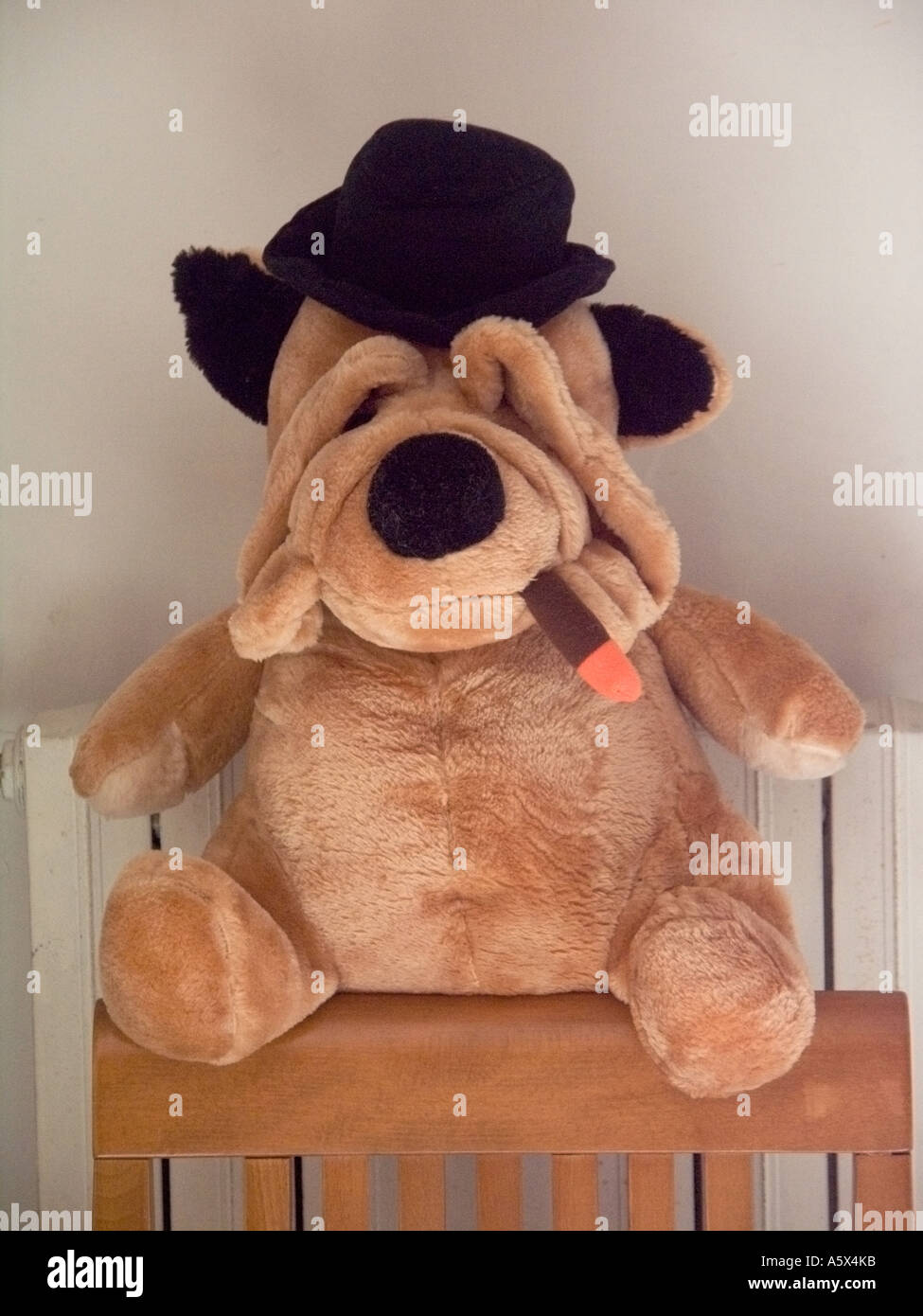 Dog smoking cigar hi-res stock photography and images - Alamy
